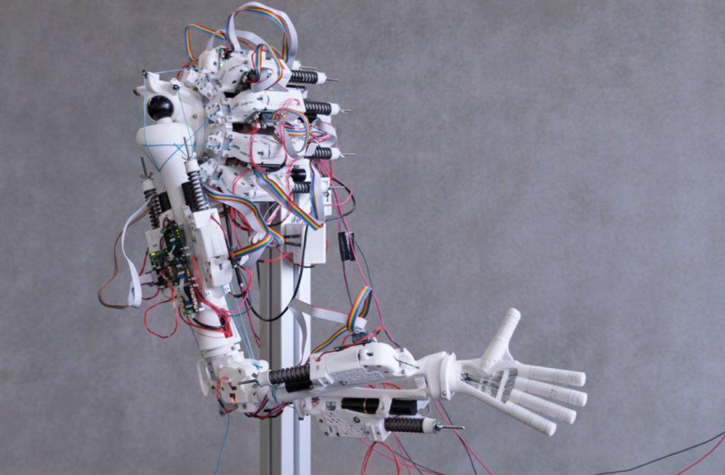 Robots of Roboy – Roboy