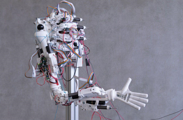 Robots of Roboy – Roboy