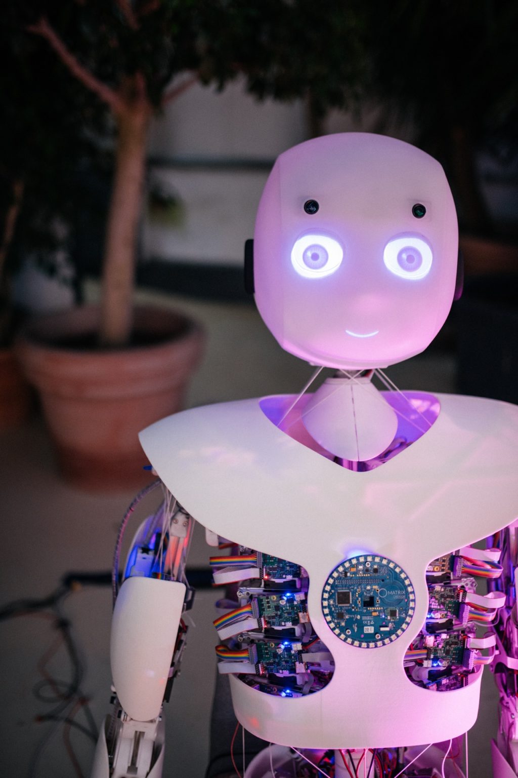 SOLUTIONS FOR OUR FUTURE – UNVEILING OF ROBOY AVATAR – Roboy