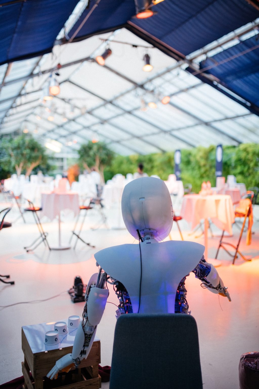 SOLUTIONS FOR OUR FUTURE – UNVEILING OF ROBOY AVATAR – Roboy