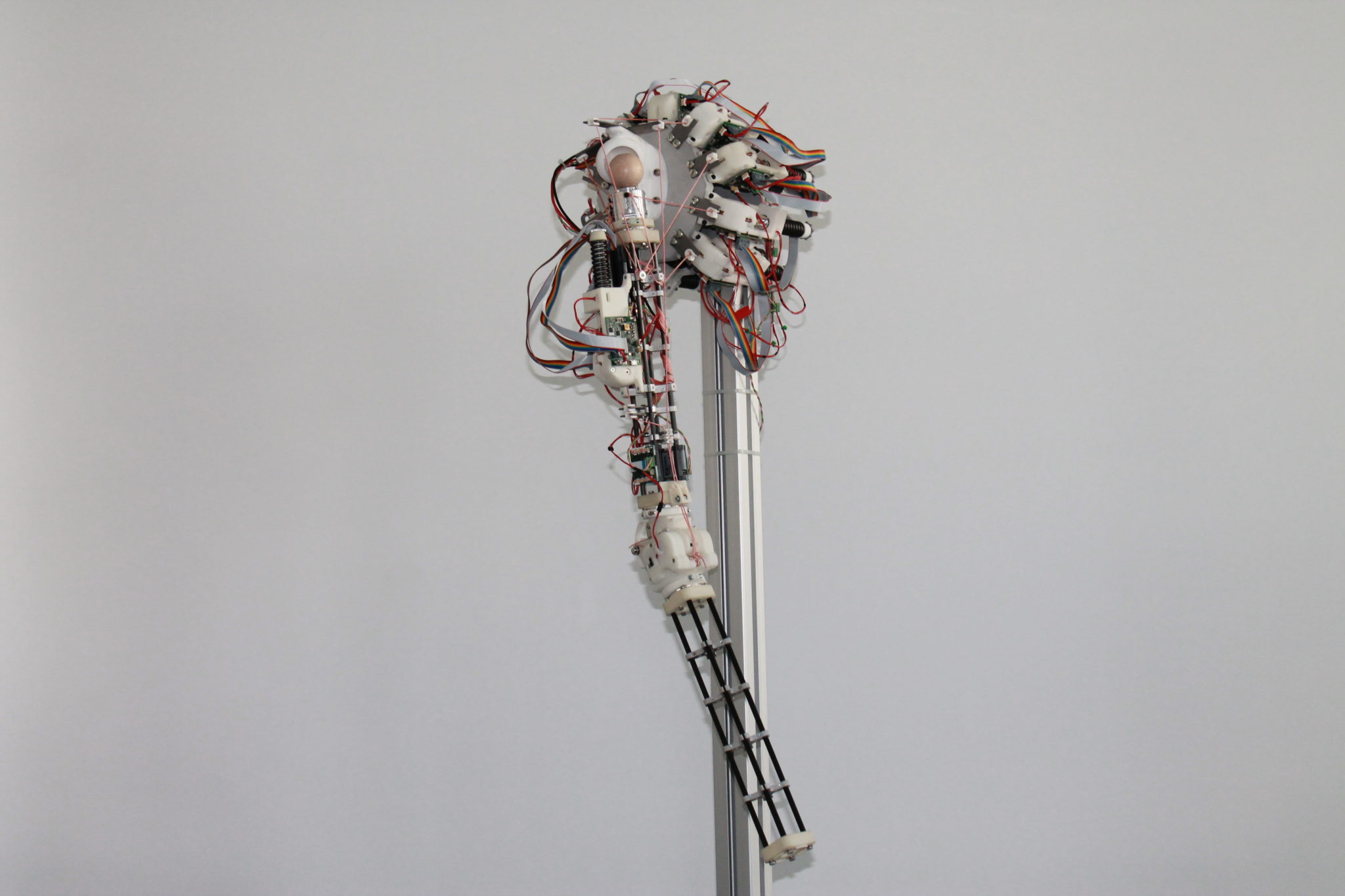 Robots of Roboy – Roboy